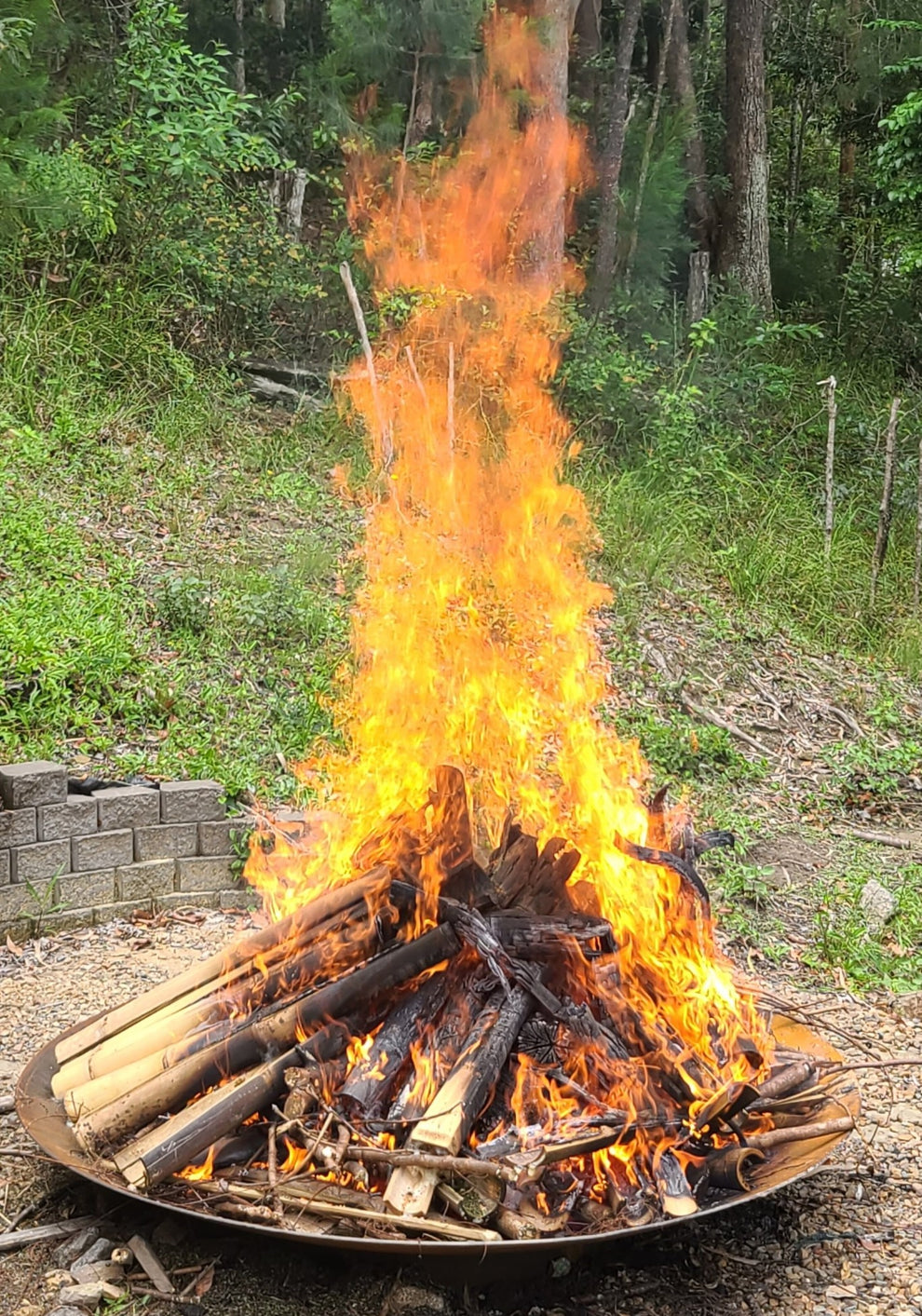 Corten Steel Fire Pit – The Bamboo Warehouse